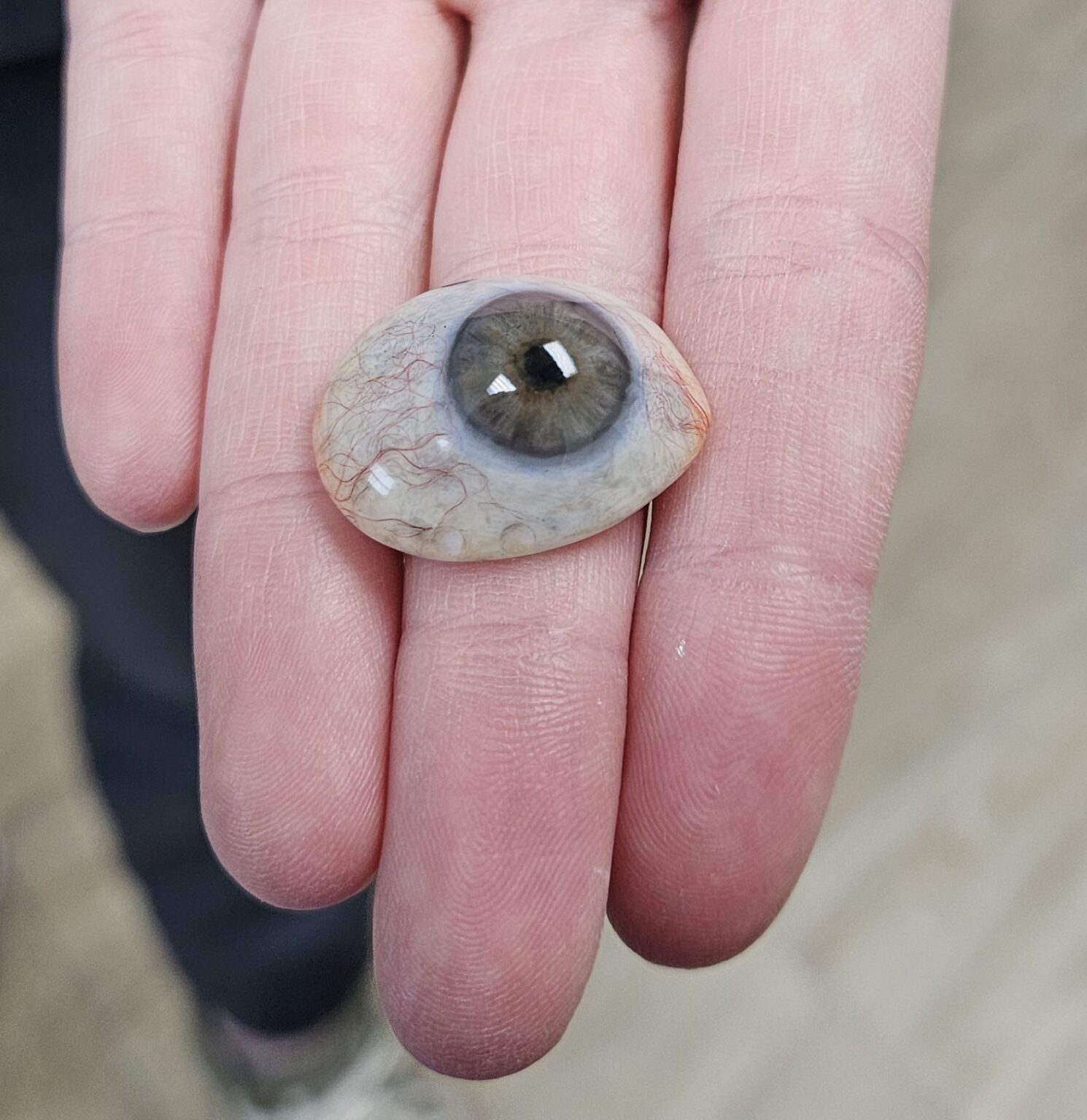 LOSING MY EYE AND GAINING A FAKE ONE: Art Meets Science in the Making ...